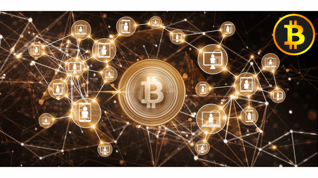 Bitcoin Asset Allocation - the World's Hardest Money - The Phoenician ...